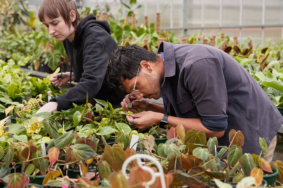 Horticulture Courses Melbourne | Melbourne Polytechnic